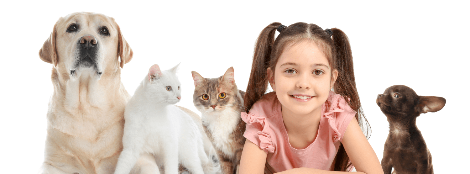 How to Keep Your Pets Safe From Pests | Hawx Pest Control