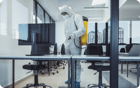 Office Pest Control - Hawx Pest Control